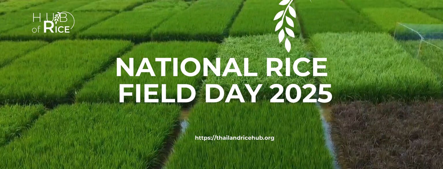 National Rice Field Day 2025
