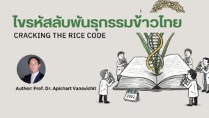Hub of Rice | ศูนย์กลางความรู้ด้านวิทยาศาสตร์ และการวิจัยข้าวของประเทศไทย