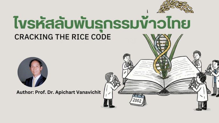 ทำความรู้จักกับแพลตฟอร์มปลูกข้าวที่ยั่งยืน (SRP)